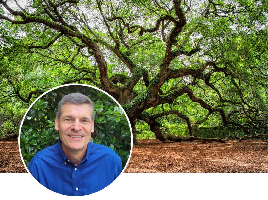 From The President - Wrapping Up 2024 - HMI Advantage
